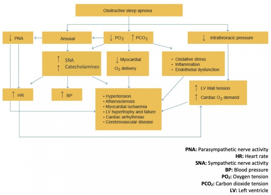 OSA - Comorbidities & Complications